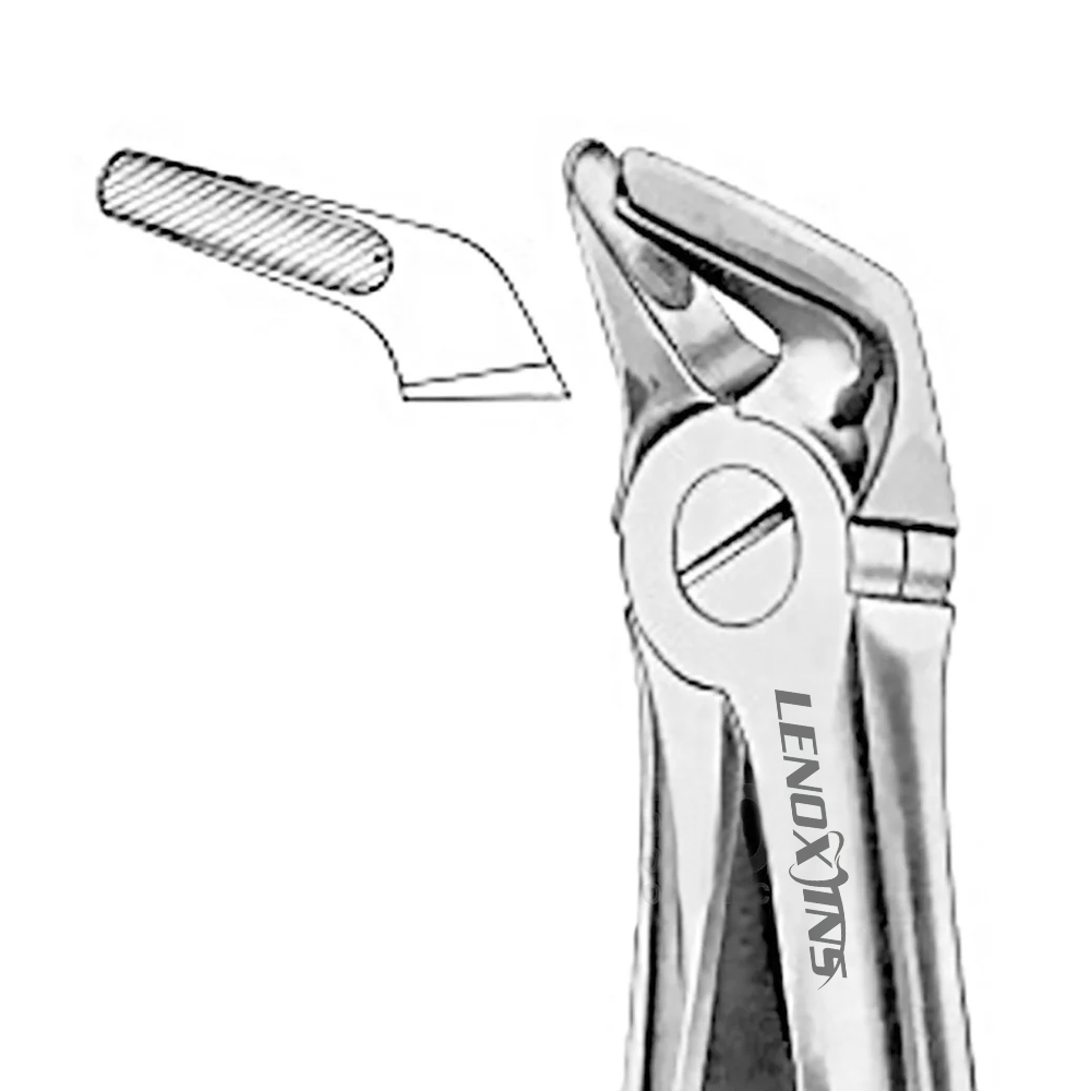 Extracting Forceps Fig.8 Lower Premolars